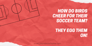 50 Best Soccer Jokes You Will Read Today! – Your Soccer Home